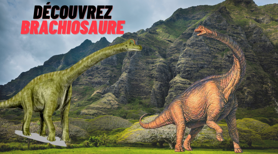 Brachiosaure : le plus célèbre des titans de l'ère jurassique – Rex Le Dinosaure
