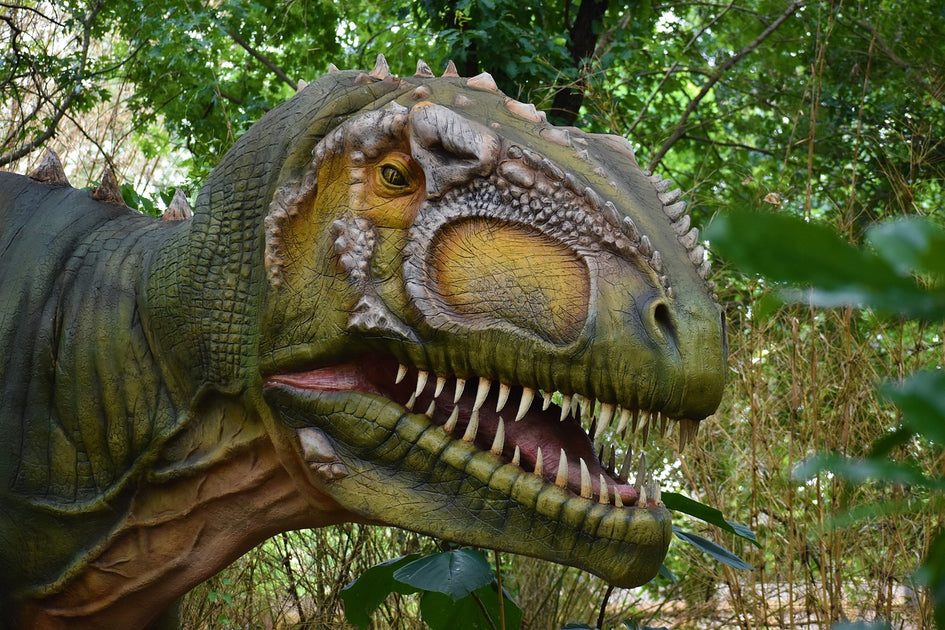 Le féroce Allosaure : Prédateur superpuissant de l'ère jurassique – Rex Le Dinosaure