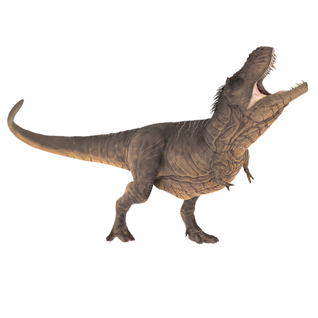 Acrocanthosaurus : le géant à pointes du début du Crétacé – Rex Le ...