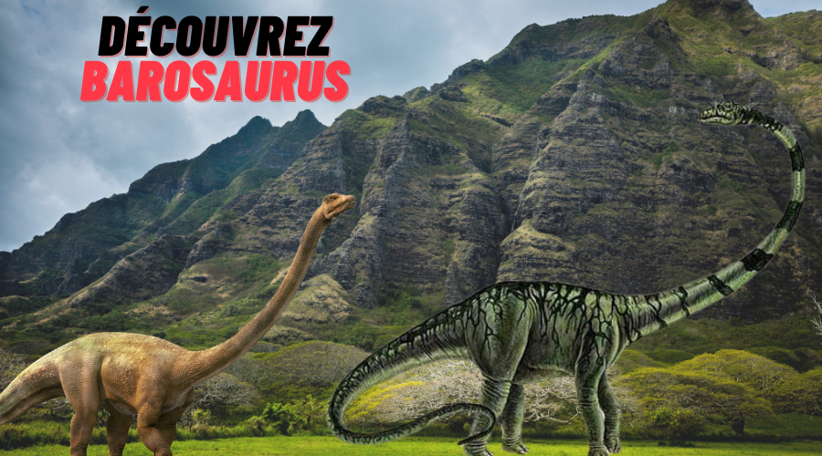 Barosaurus : un reptile massif à la présence gracieuse – Rex Le Dinosaure